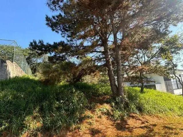 Terreno em Condomínio para Venda em Santa Isabel/SP Reserva Ibirapitanga