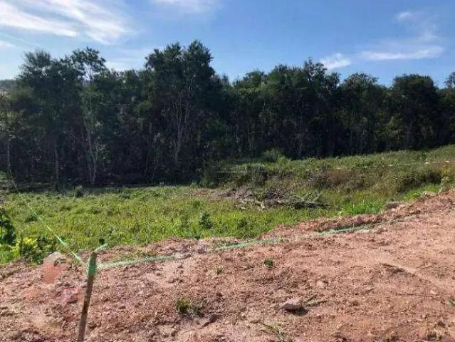 Terreno em Condomínio para Venda em Santa Isabel/SP Reserva Ibirapitanga