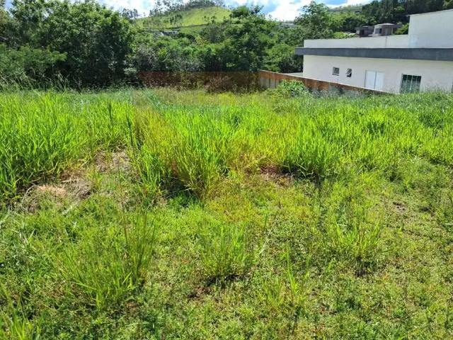 Terreno em Condomínio para Venda em Santa Isabel/SP Reserva Ibirapitanga