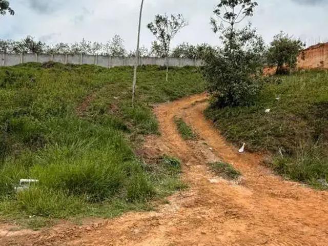 Terreno em Condomínio para Venda em Santa Isabel/SP Reserva Ibirapitanga
