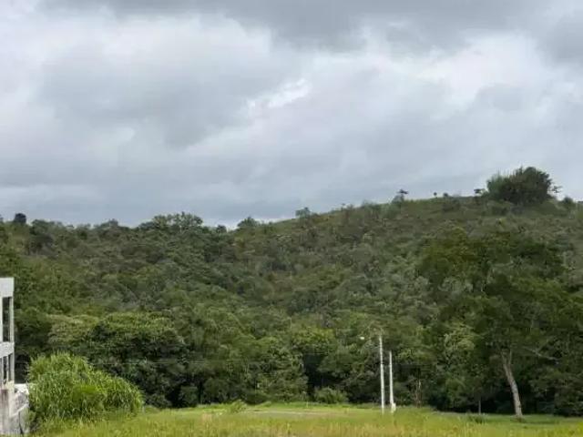 Terreno em Condomínio para Venda em Santa Isabel/SP Reserva Ibirapitanga