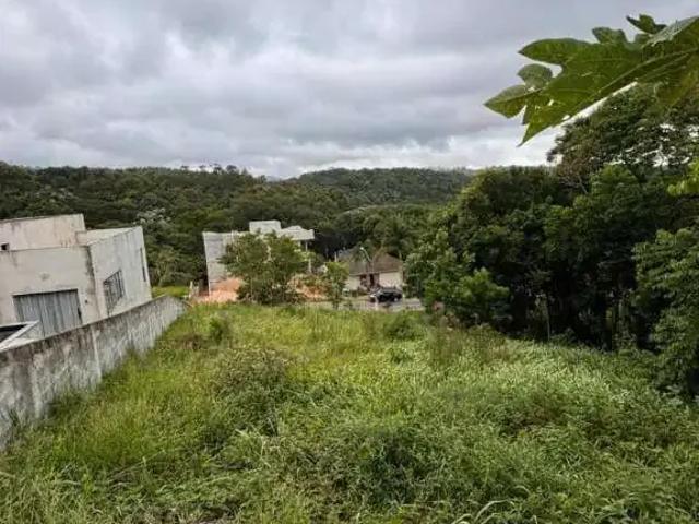 Terreno em Condomínio para Venda em Santa Isabel/SP Reserva Ibirapitanga