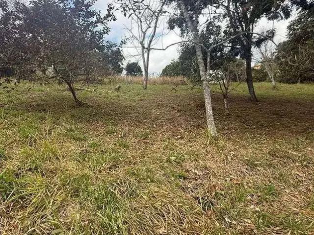 Terreno em Condomínio para Venda em Santa Isabel/SP Reserva Ibirapitanga