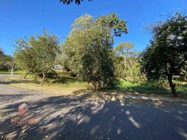 Terreno em Condomínio para Venda em Santa Isabel/SP Reserva Ibirapitanga