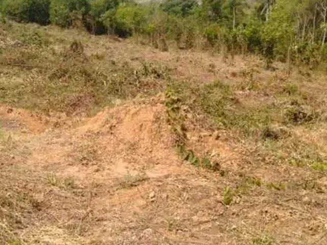 Terreno em Condomínio para Venda em Santa Isabel/SP Reserva Ibirapitanga