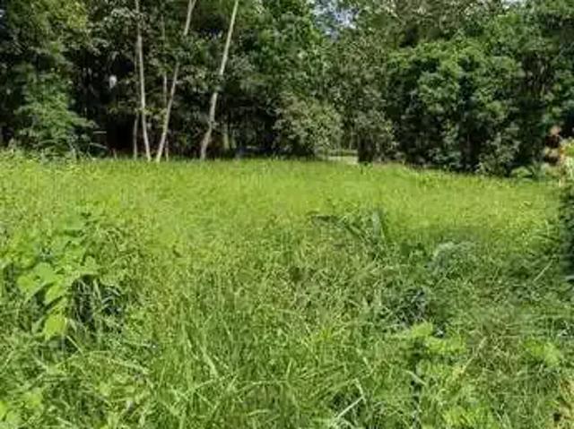 Terreno em Condomínio para Venda em Santa Isabel/SP Reserva Ibirapitanga