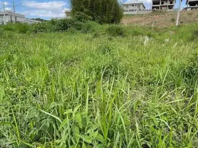 Terreno em Condomínio para Venda em Santa Isabel/SP Reserva Ibirapitanga