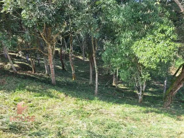 Terreno em Condomínio para Venda em Santa Isabel/SP Reserva Ibirapitanga