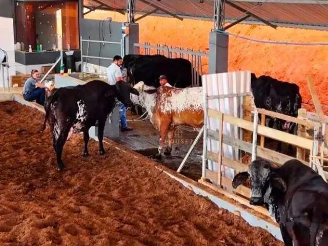 Terreno em Condomínio para Venda em Santa Leopoldina/ES Mangaraí