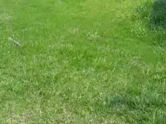 Terreno em Condomínio para Venda em Santana de Parnaíba/SP Alphaville
