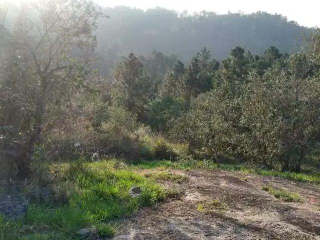 Terreno em Condomínio para Venda em Santana de Parnaíba/SP Sítio do Morro