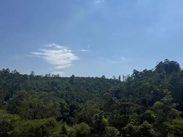 Terreno em Condomínio para Venda em Santana de Parnaíba/SP Tamboré