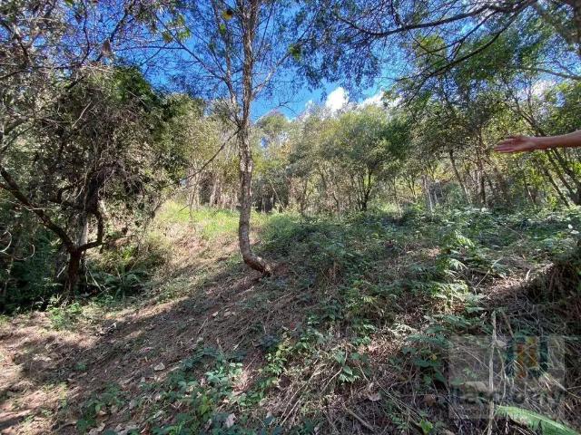 Terreno em Condomínio para Venda em Santana de Parnaíba/SP Tamboré
