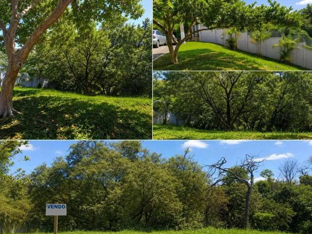 Terreno em Condomínio para Venda em Santana de Parnaíba/SP Tarumã