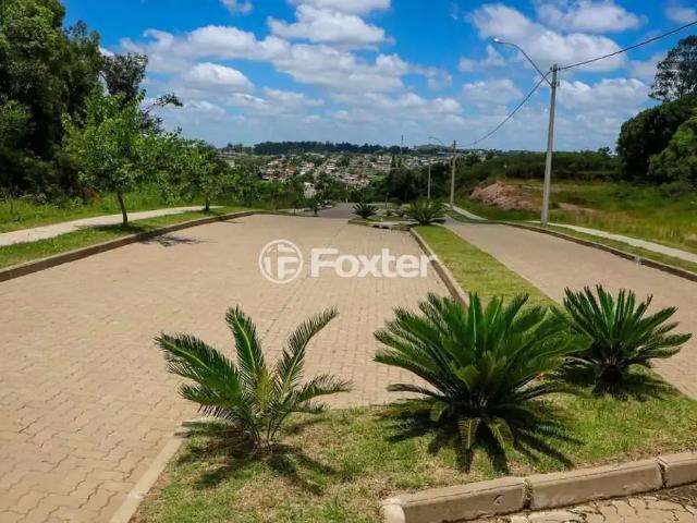 Terreno em Condomínio para Venda em Santana do Livramento/RS Batuva