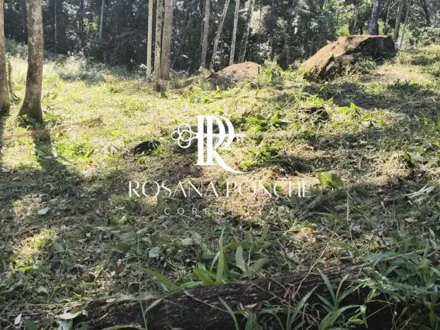 Terreno em Condomínio para Venda em Santo Amaro da Imperatriz/SC Centro