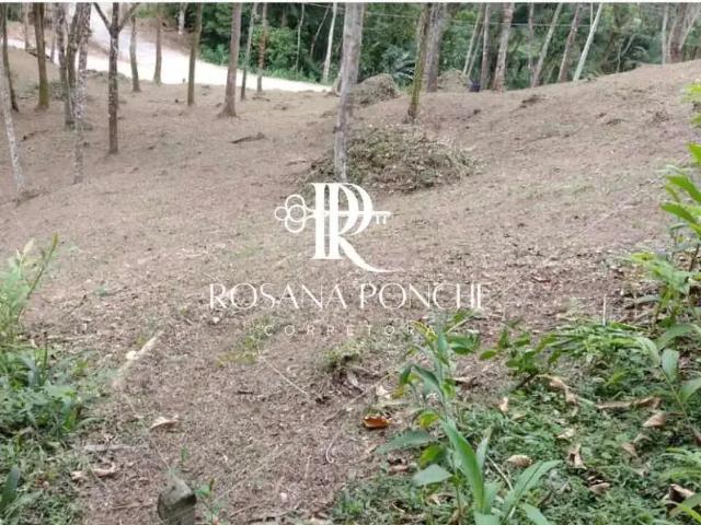 Terreno em Condomínio para Venda em Santo Amaro da Imperatriz/SC Centro