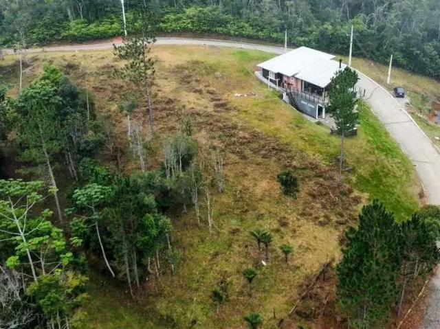 Terreno em Condomínio para Venda em Santo Amaro da Imperatriz/SC Pagará