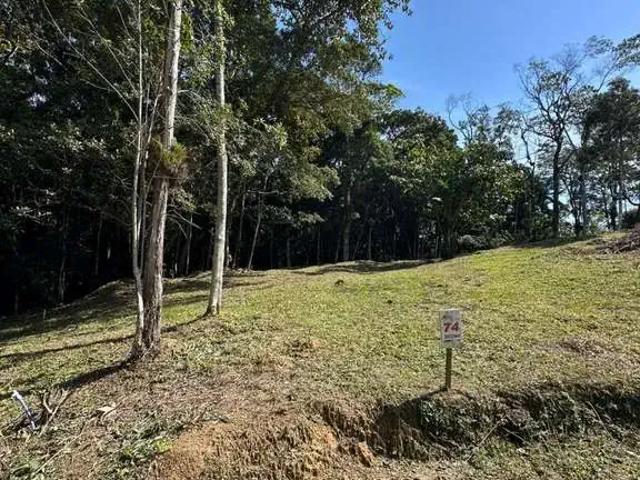 Terreno em Condomínio para Venda em Santo Amaro da Imperatriz/SC Varginha