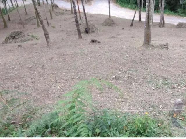 Terreno em Condomínio para Venda em Santo Amaro da Imperatriz/SC Varginha