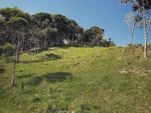 Terreno em Condomínio para Venda em Santo Amaro da Imperatriz/SC Varginha
