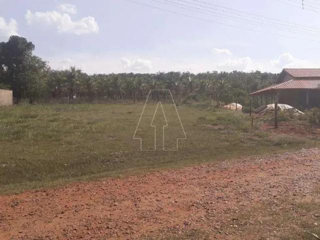 Terreno em Condomínio para Venda em Santo Antônio do Aracanguá/SP Macaúba