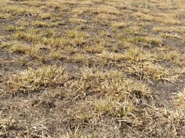 Terreno em Condomínio para Venda em Salto, Residencial São Bento