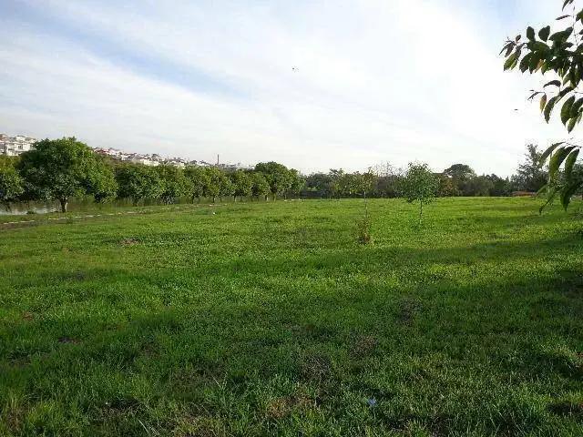 Terreno em Condomínio para Venda em Salto/SP Condomínio Palmeiras Imperiais