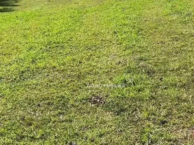 Terreno em Condomínio para Venda em Salto/SP Condomínio Palmeiras Imperiais