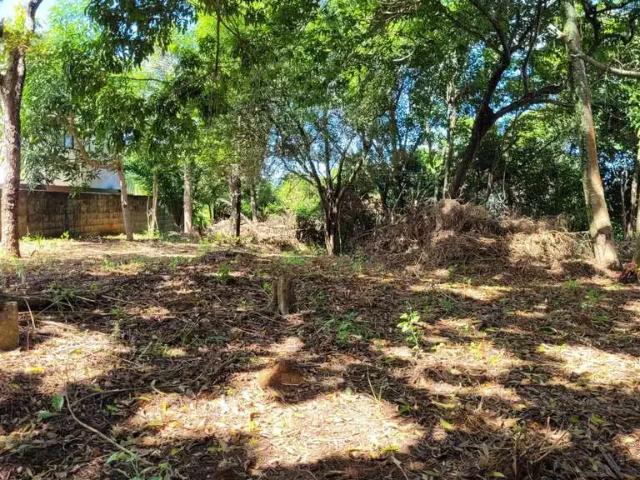 Terreno em Condomínio para Venda em Salvador/BA Patamares