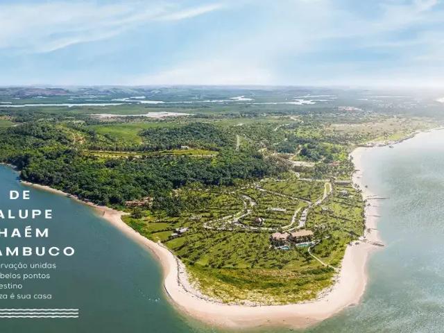 Terreno em Condomínio para Venda em Sirinhaém/PE Praia de Guadalupe