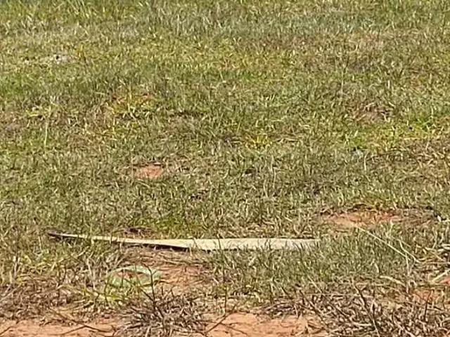 Terreno em Condomínio para Venda em Sorocaba/SP Wanel Ville