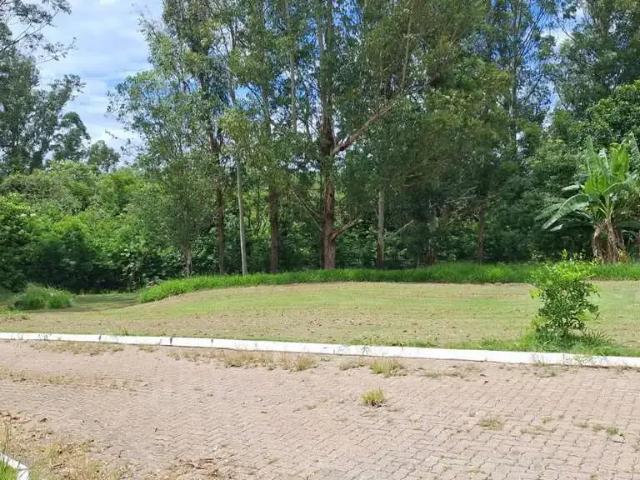 Terreno em Condomínio para Venda em Sumaré/SP Estância Árvore da Vida