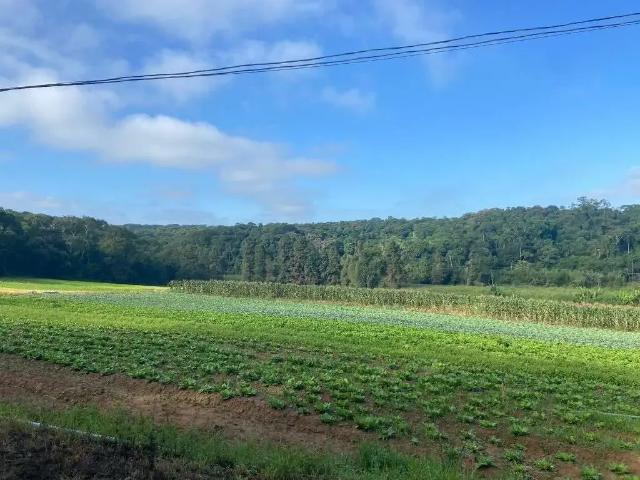 Terreno em Condomínio para Venda em Suzano/SP Vila Costa