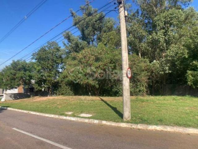 Terreno em Condomínio para comprar no condomínio Vista Alegre Café em Vinhedo, interior de São Paulo