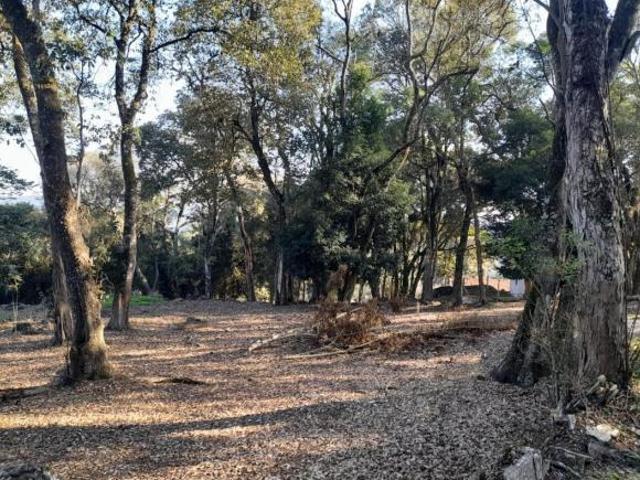 TERRENO EM CONDOMÍNIO RESSACA IBIUNA
