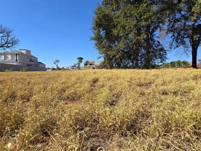 Terreno em Condomínio Riviera Home Club Excelente Oportunidade