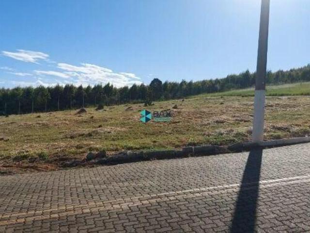 Terreno em Condomínio Terras Santa Mariana