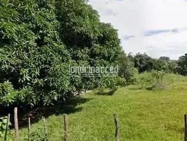 Terreno em Condomínio Vale do Arvoredo, Londrina/PR de 10m² à venda por R$ 1.200.000,00