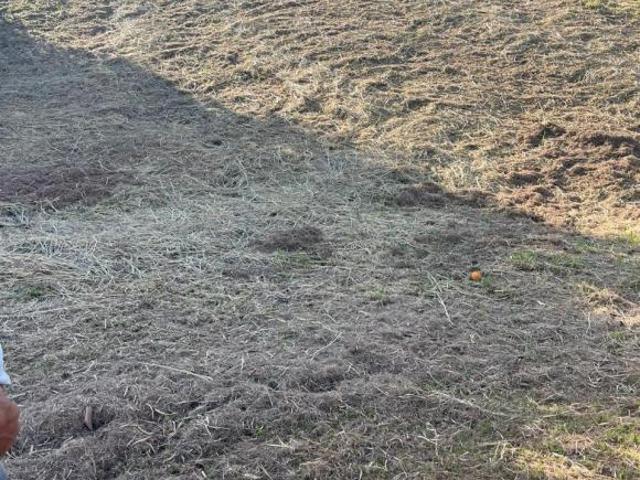 Terreno em Condomínio, Villa Real de Bragança, Bragança Paulista, SP