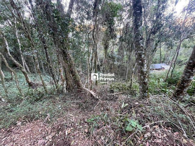 Terreno em Cônego, Nova Friburgo/RJ de 0m² à venda por R$ 219.000,00