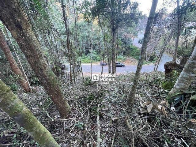 Terreno em Cônego, Nova Friburgo/RJ de 0m² à venda por R$ 264.900,00