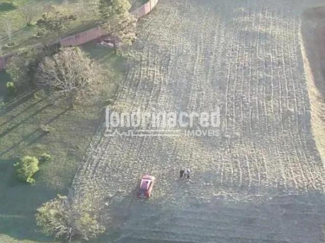 Terreno em Conjunto Habitacional Jamile Dequech, Londrina/PR de 10m² à venda por R$ 480.000,00