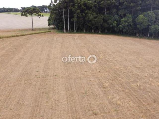 Terreno em Contenda Permissível para industria