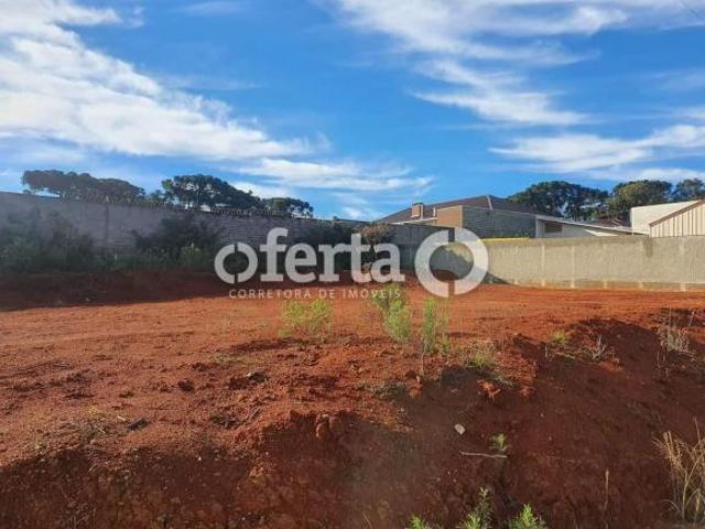 Terreno em contenda