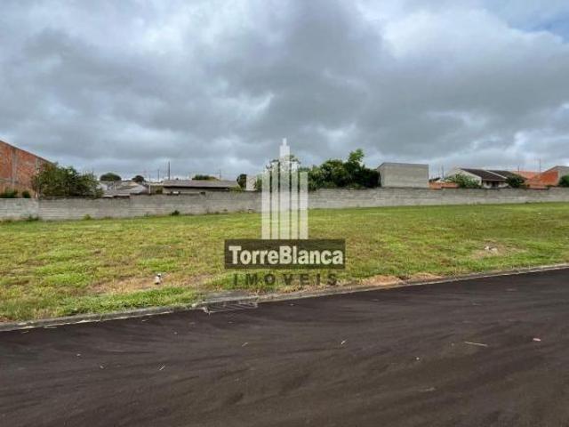 Terreno em Contorno, Ponta Grossa/PR de 10m² à venda por R$ 120.000,00
