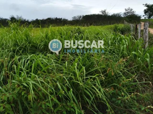 Terreno em Coração de Maria
