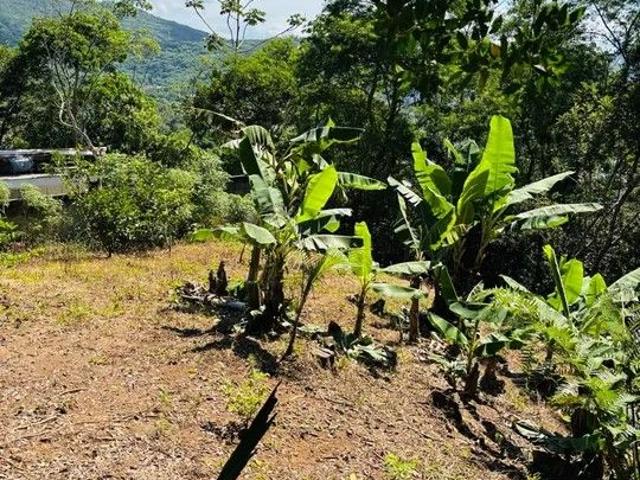 Terreno em Córrego Grande, Florianópolis/SC de 0m² à venda por R$ 428.000,00
