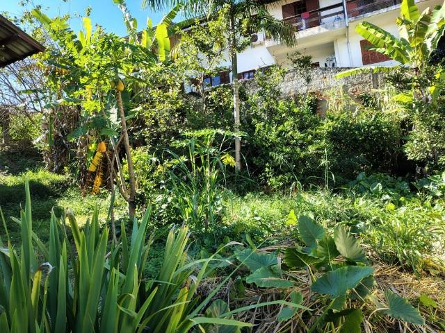 Terreno em Córrego Grande, Florianópolis/SC de 0m² à venda por R$ 999.900,00