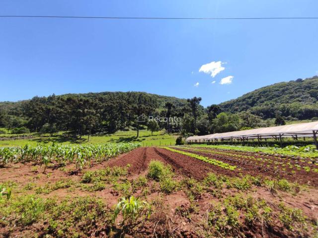 Terreno em, / de 5000m² à venda por R$ 2.199.900,00